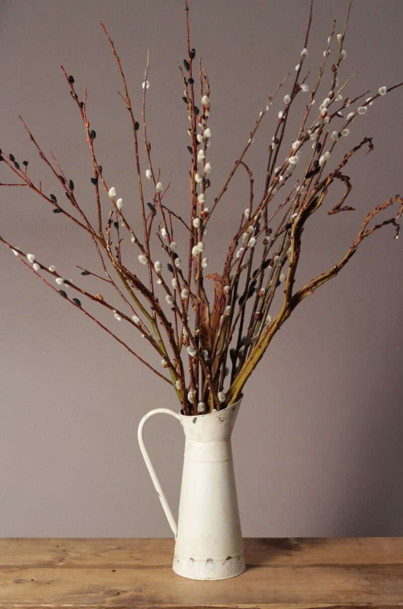Farm-Fresh Flowers | Vibrant, Long-Lasting Bouquets Delivered